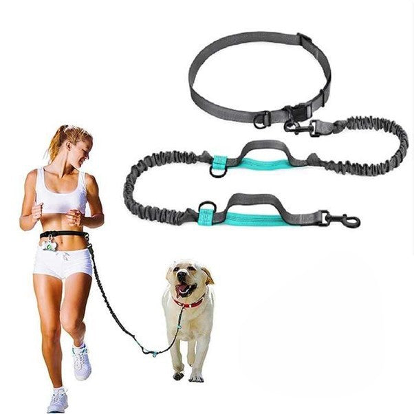 Hands Free Walking/Running Leash – SLINGGUARD