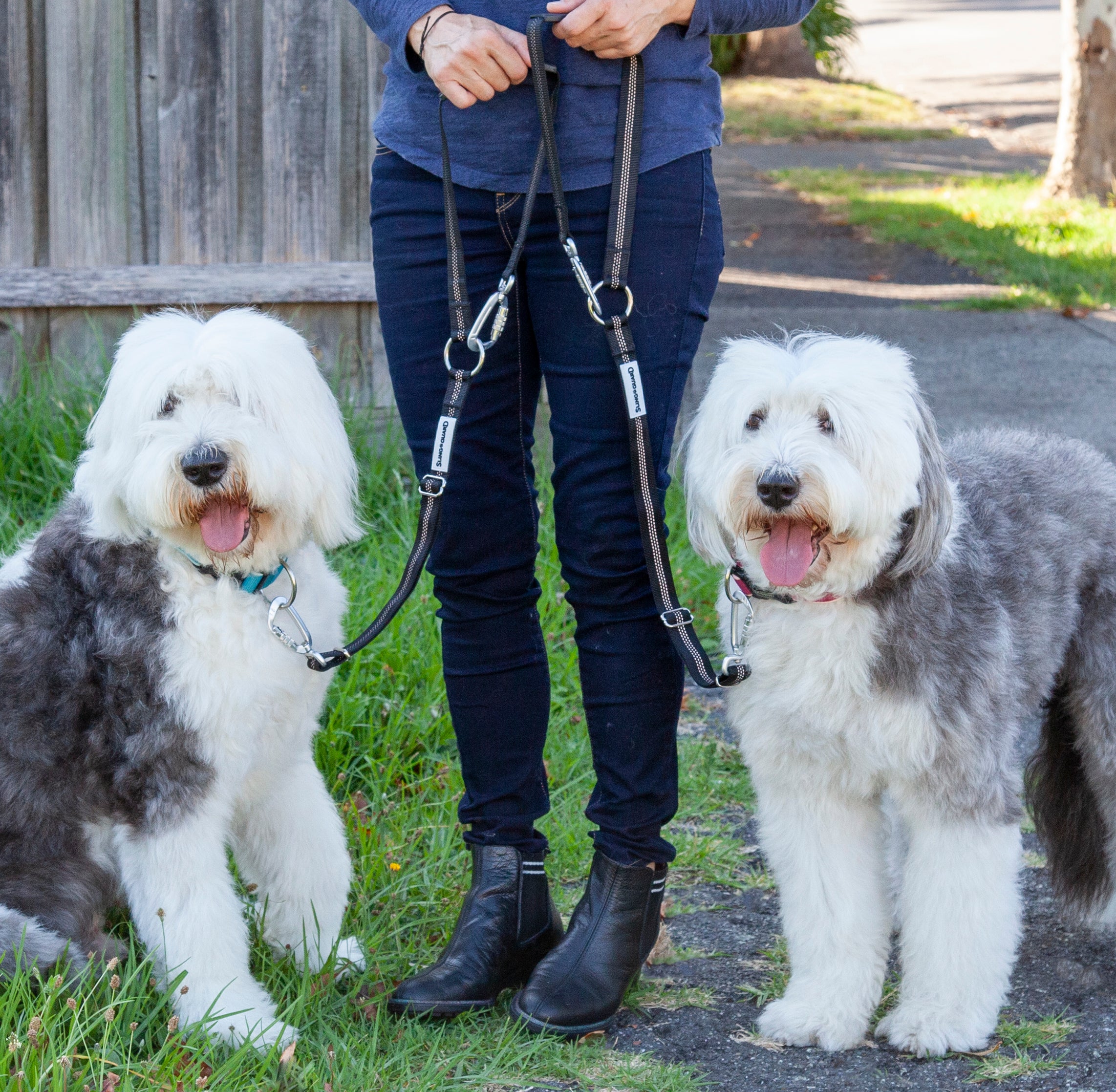 2in1 Adjustable Short Walking Leash and Car Headrest Lead – SLINGGUARD